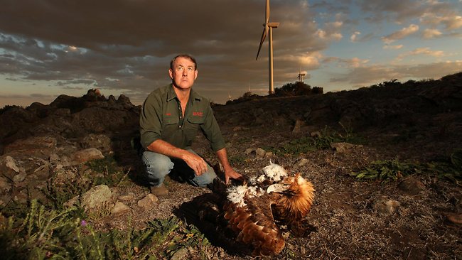 ‘Green’ Turns Brown: Australia’s Head Climate Warrior Slams Wind ...