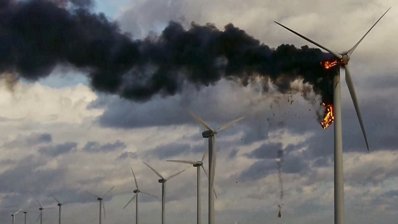 dolphins wind turbine noise – STOP THESE THINGS