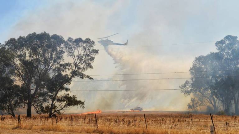 BUSHFIRE RED ALERT: Wind Power Really Is Setting the World on FIRE ...