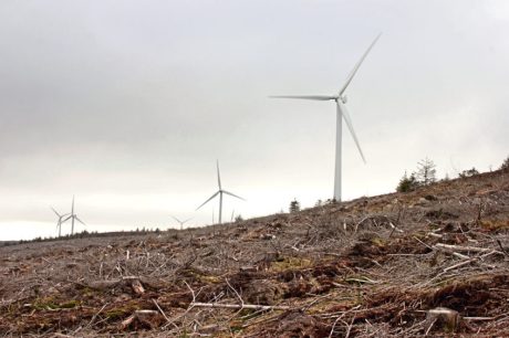 Path to Extinction: Giant Wind & Solar Farms Destroying Habitat ...