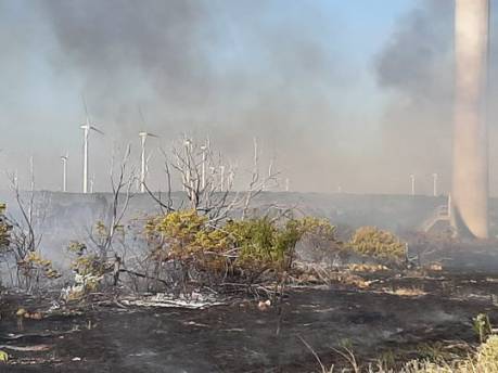 All Fired Up: Texan Wildfire Sparked by Self-Incinerating Wind Turbine ...